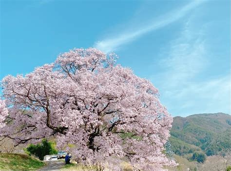 箕輪町 楽園信州空き家バンク・空き地バンク 市町村・不動産会社を探す