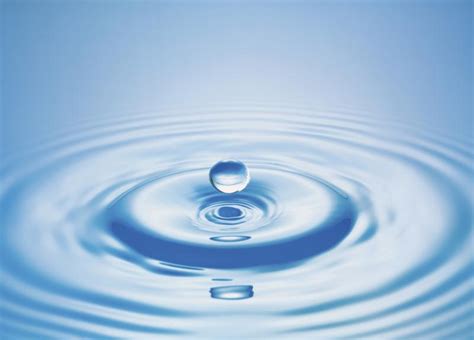Types Of Moisture Analysis Equipmentlication
