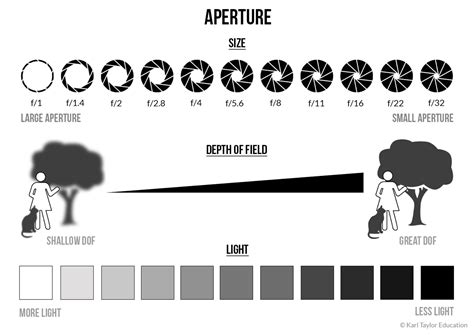 Aperture Depth Of Field Visual Education