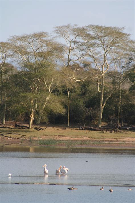 Just Conservation Ndumo Game Reserve