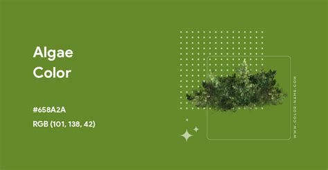 Algae Color Hex Code Is 658a2a
