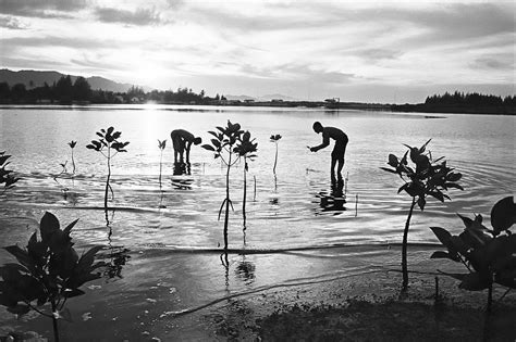 Poems In English By Sangjoo Lee 詩 Written By Seungwoo Baek