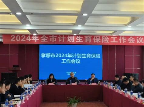 孝感市：全市计生保险工作会议召开家庭跟踪服务相关