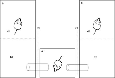 Social Preference Test The Central Cage A Where The Female Was