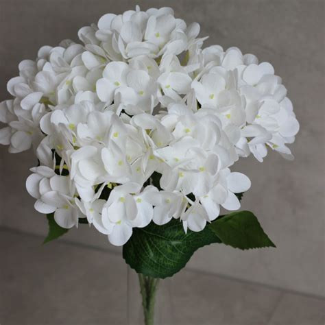 Гортензія латексна біла букет