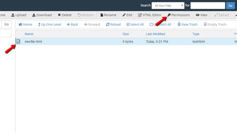 Managing Web Files Via The File Manager Integrated Into CPanel HostArmada