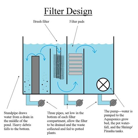 Design Fish Pond Filter System At Laurie Hamlett Blog