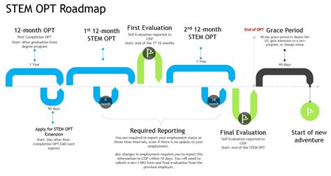 Stem Opt Reporting Timeline Cleveland State University