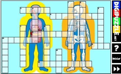 Crucigrama Del Cuerpo Humano Digipuzzle Net Didactalia Material Educativo