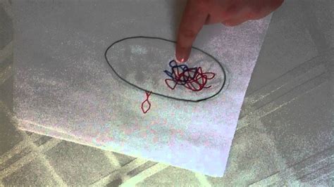 Transduction Video Youtube