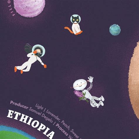 [일러스트] 원두 봉투 패키지 일러스트 디자인 일러스트 포트폴리오 크몽