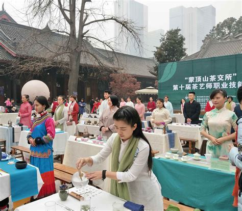 茶艺技能大赛技能大赛第7页大山谷图库