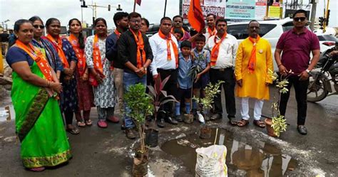 Pune Mns Protests By Planting Saplings In Potholes To Draw Attention