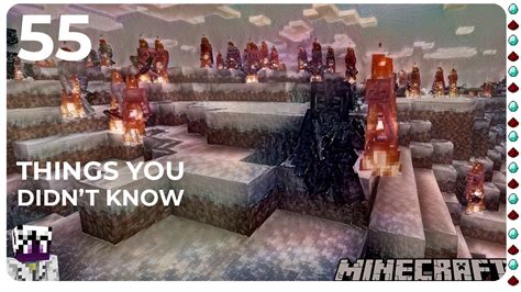 55 Things You Probably Didnt Know About Minecraft Youtube