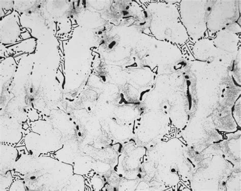 Microstructure Of The Composite Download Scientific Diagram