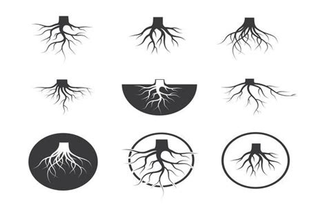 Tree Roots Vector Icon Illustration Graphic By Juliochaniago Creative Fabrica
