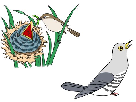 Hotel California A Story By Miyabis Movie Diary Tantalizing Tales Medium