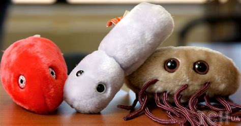 Як почистити мʼякі іграшки в домашніх умовах Читайте на Ukr Net