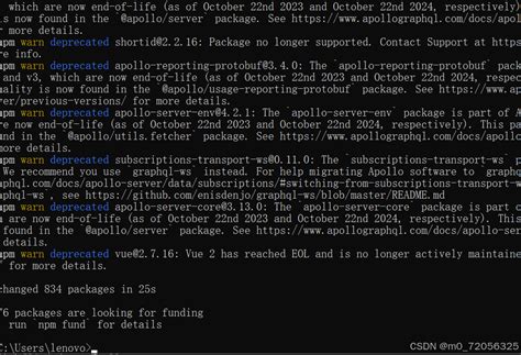 关于vue的警告cve 2024 9506 Csdn博客