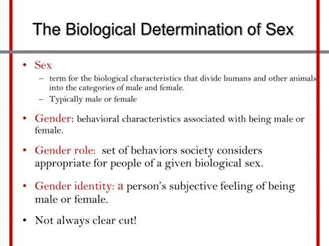 Ppt Chapter 7 Powerpoint Presentation Id 790453