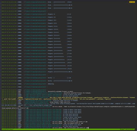 Wizard During Firmware Installation We Should Automatically Reboot