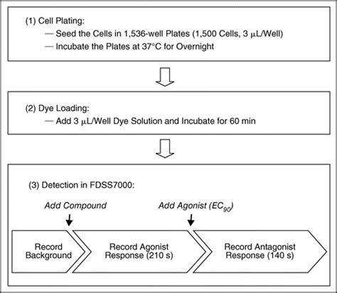 A Multiplex Calcium Assay For Identification Of Gpcr Agonists And Antagonists Assay And Drug