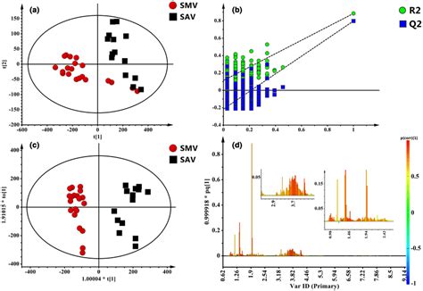 A Pca Score Plot R²x 0932 Q2 076 B Pls‐da Permutation