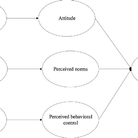 Theorethical Framework Based On The Reasoned Action Approach
