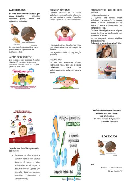 Triptico De La Contaminacion 3 Pdf