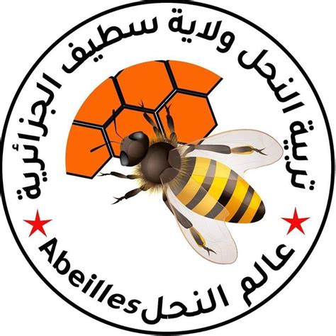 منحل ولد الصياد El Mourouj