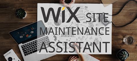 Filtering Your Dataset In Wix Dynamic Pages By Wix Code Experts