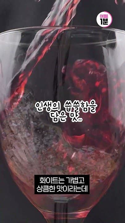 만원으로 마실 수 있는 와인 추천 Shorts Youtube
