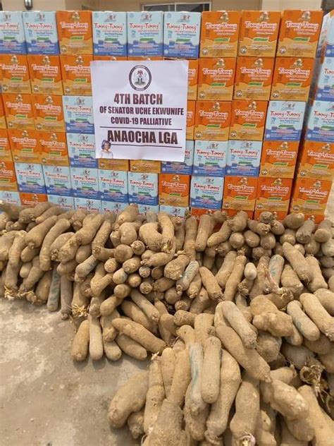 Senator Uche Ekwunife Distributes Food Items To Anambra Central Photos