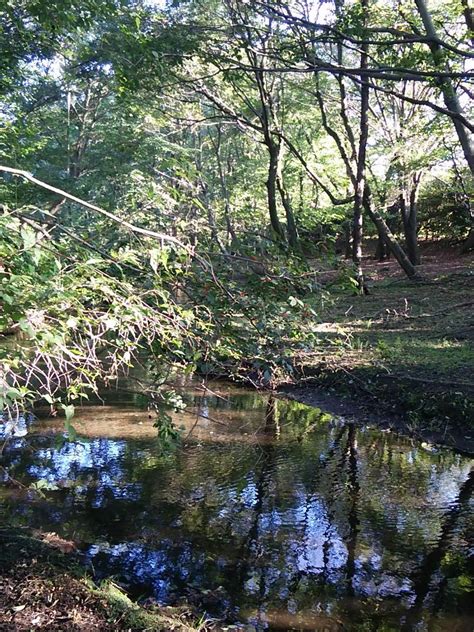 磯川緑地公園 2ページ目 Togetter