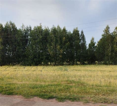 Народные приметы на 4 августа 2023 года что можно и чего нельзя делать