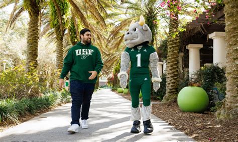 International Orientation University Of South Florida