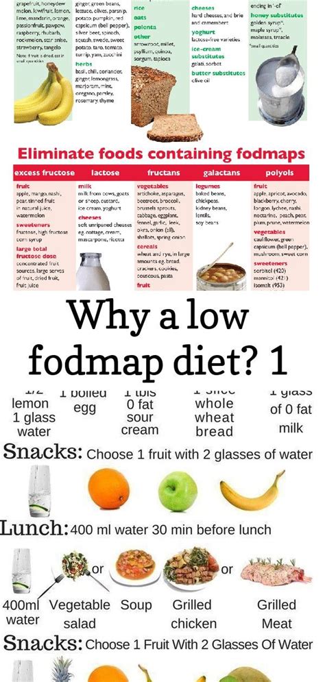 Fodmap Diet Printable