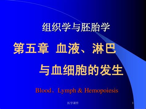 组织胚胎学——血液、淋巴与血 Ppt课件word文档在线阅读与下载无忧文档