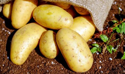 Patata Roja Vs Patata Blanca Diferencias Beneficios Y Usos