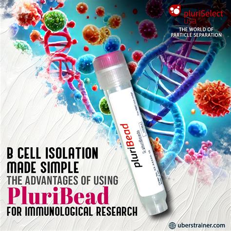 B Cell Isolation Made Simple The Advantages Of Using Pluribead For