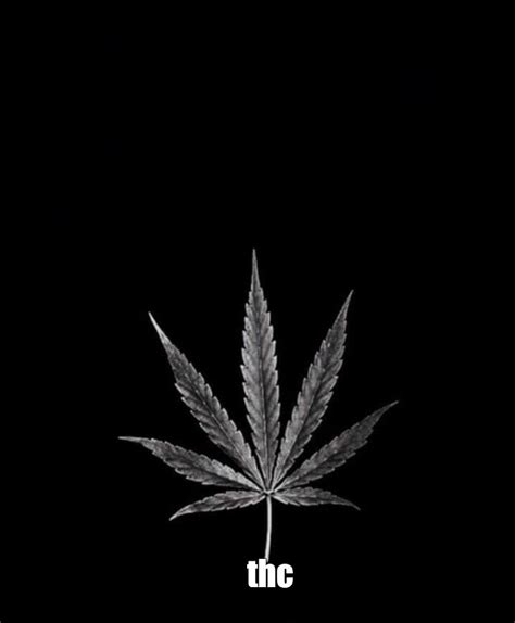 Meme Thc All Templates Meme