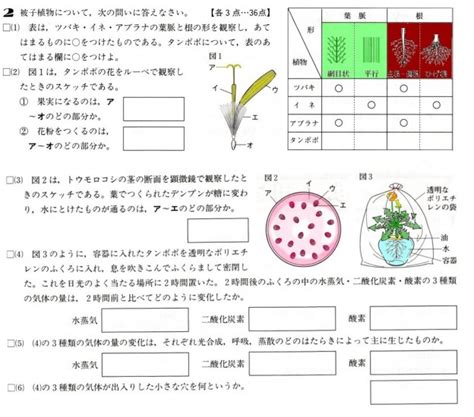 中学3年理科 生物の細胞と生殖 生物の増え方 確認問題2・解答 あんのん塾