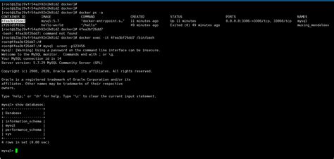 使用docker部署springboot项目并连接上mysql数据库spring 使用docker Mysql别名 Csdn博客