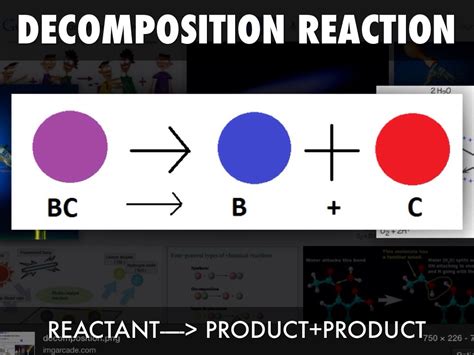 Reaction Types By Mekia Alize
