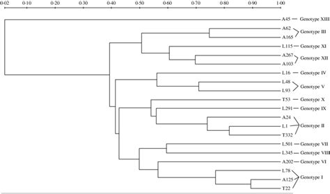 Fig Upgma Dendrogram Of Apai Digested Genomic Dna Of Representative