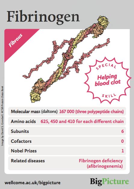 Fibrinogen Protrump Card Weve Created A Range Of Collectable Cards