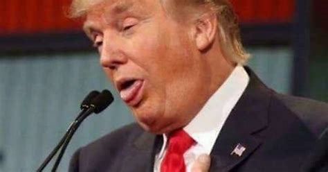 Maybe Even Less Brain Cells Album On Imgur