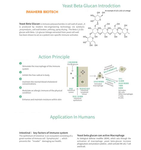 Oat Beta Glucan Powder
