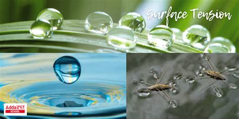 Surface Tension Definition Formula Examples
