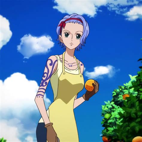 Nojiko One Piece One Piece Nami One Piece One Piece Anime